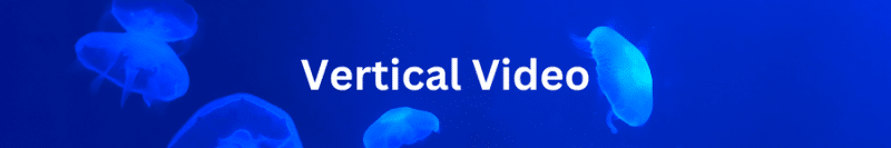 Vertical Video, Loop on Upright Screens as Portrait Screensaver for PCs